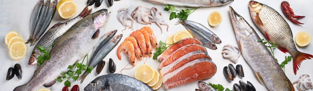 Refrigerating cabinets for fish - Alpfrigo